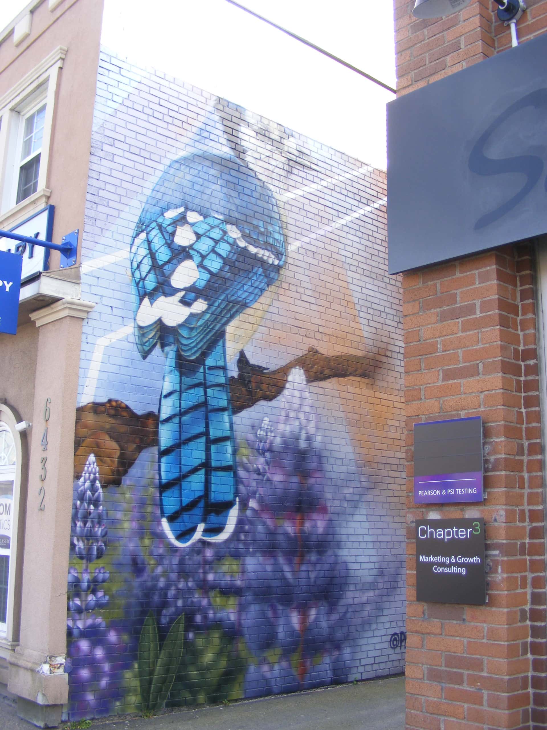 Blue Jay and Lupins - Mural Routes