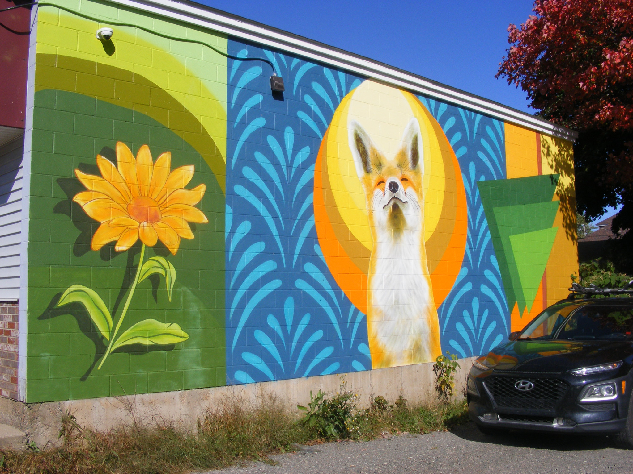 Adeline Vet Mural - Mural Routes